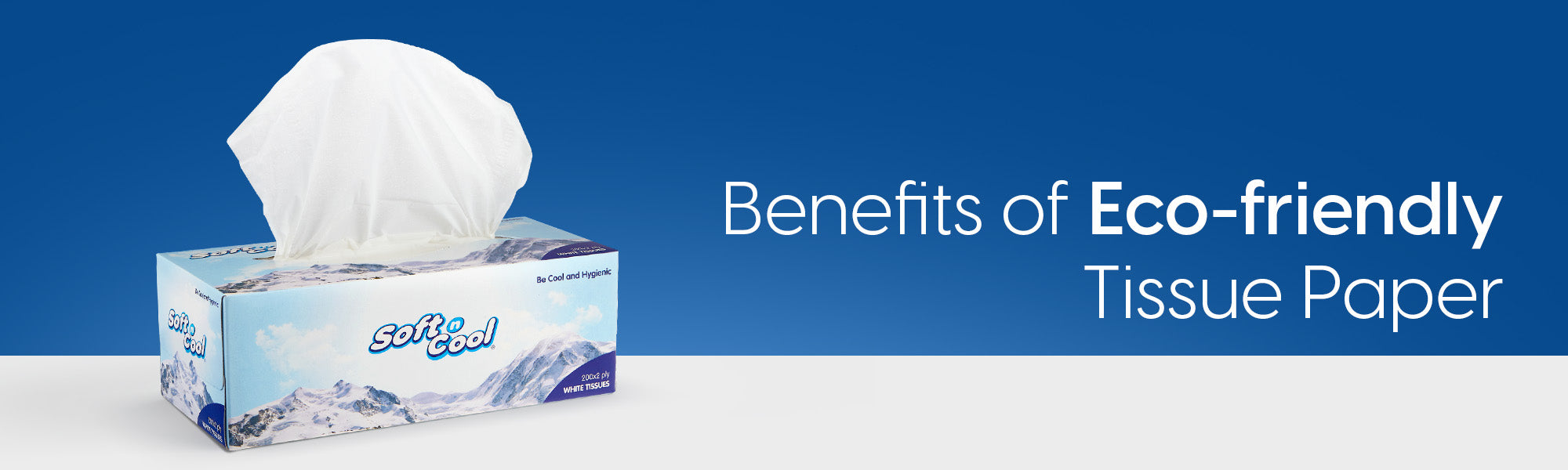 Eco-Friendly Tissue Paper: Sustainable Benefits – Hotpack India