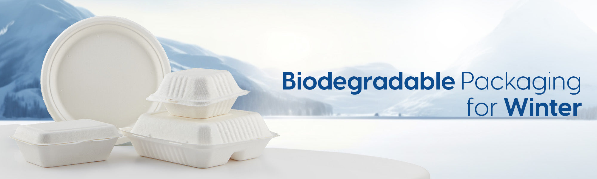 Biodegradable Solutions for Winter Food Packaging in India. – Hotpack India