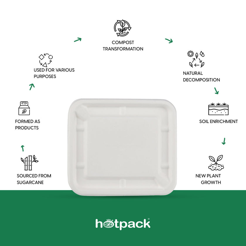 Biodegradable Rectangular container Lid | India – Hotpack India