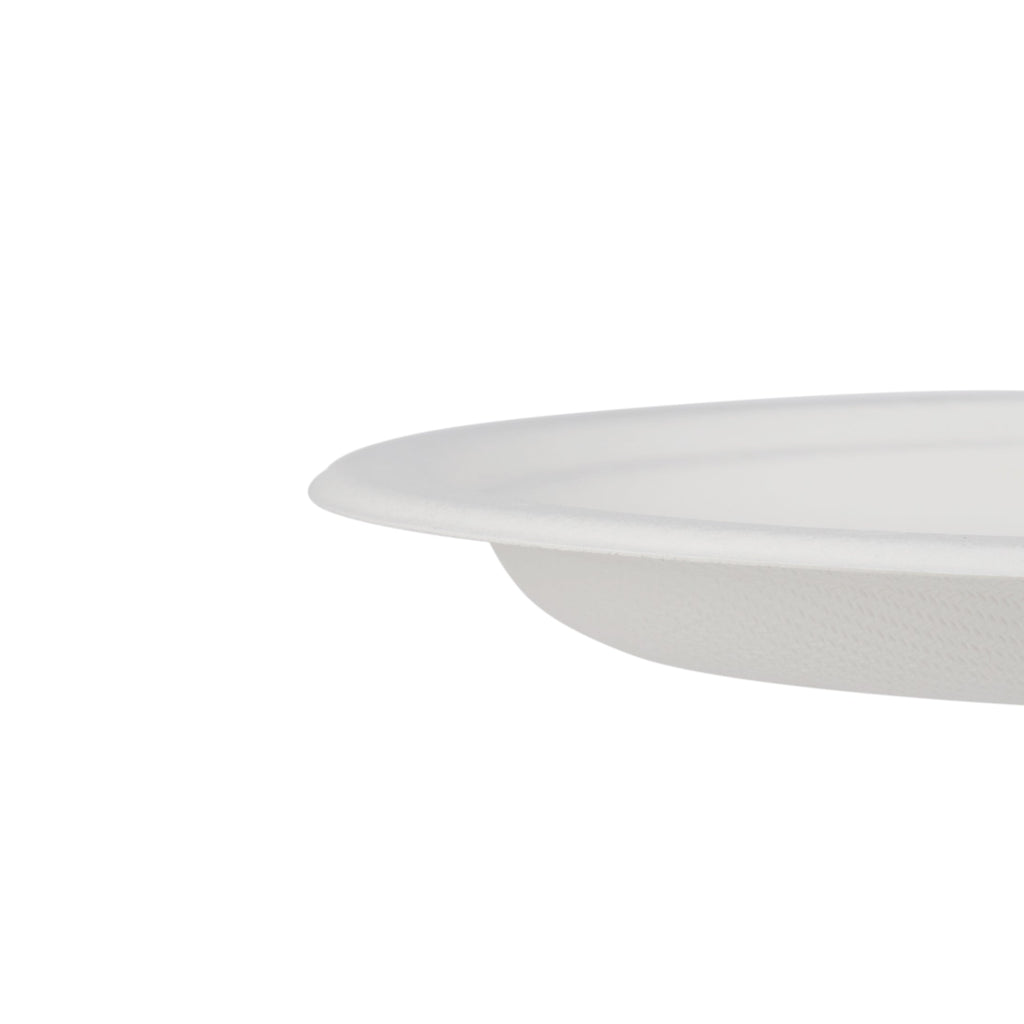 6 Inch Biodegradable Disposable Round Plate | India – Hotpack India